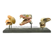 Roc | Ray Harryhausen's Creatures Wiki | Fandom