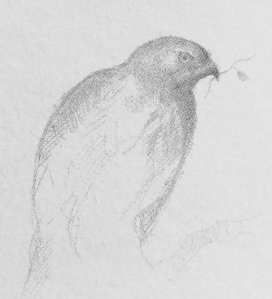 Tempête | Wiki Gwendalavir | Fandom