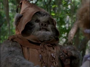 Ewoki | Gwiezdne Wojny Wiki | Fandom