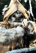 Ewoki | Gwiezdne Wojny Wiki | Fandom