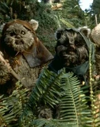 Ewoki | Gwiezdne Wojny Wiki | Fandom