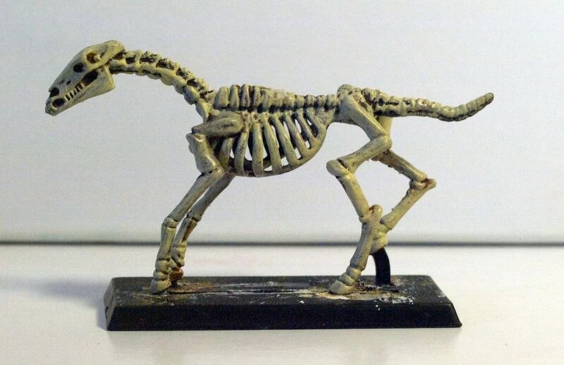 Skeleton steed | Games Workshop Wiki | Fandom