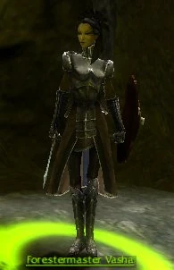 Forestermaster Vasha | GuildWars Wiki | Fandom