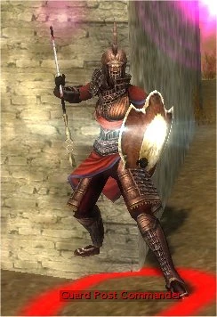 Guard Post Commander | GuildWars Wiki | Fandom