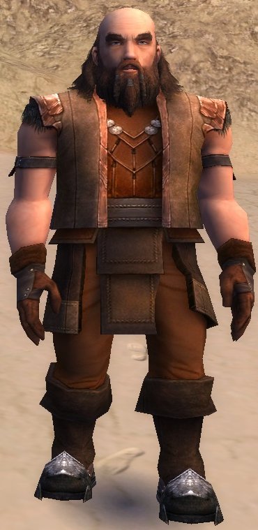 Ogden Stonehealerarmor Gallery Guildwars Wiki Fandom