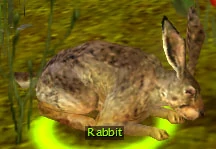 Rabbit | GuildWars Wiki | Fandom