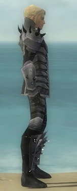Elementalist Obsidian armor/Male | GuildWars Wiki | Fandom