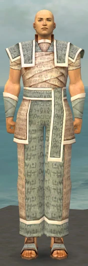 Monk Woven armor/Male | GuildWars Wiki | Fandom