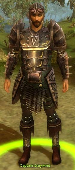 Captain Greywind | GuildWars Wiki | Fandom