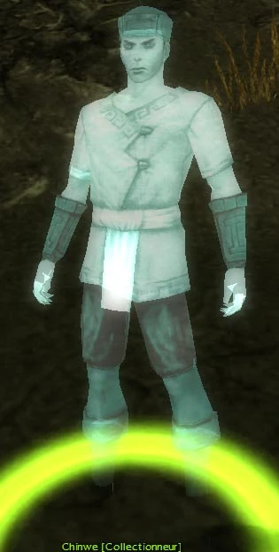 Chinwe | GuildWars Wiki | Fandom