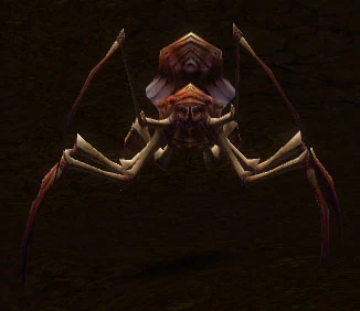 Deadly Crypt Spider | GuildWars Wiki | Fandom