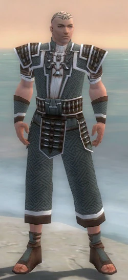 Monk Elite Judge armor/Male | GuildWars Wiki | Fandom