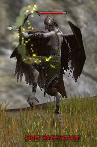 Elder Skree Tracker | GuildWars Wiki | Fandom