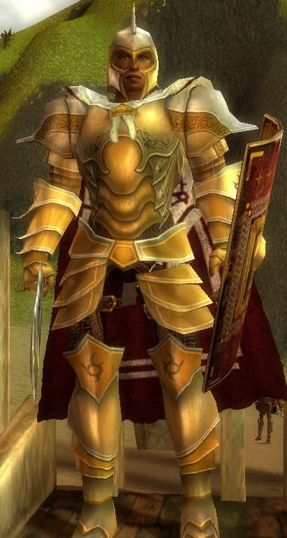Mantle Knight Franklin | GuildWars Wiki | Fandom