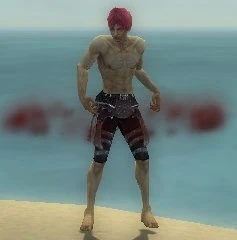 Bleeding | GuildWars Wiki | Fandom