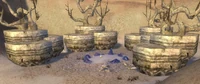 Elona Reach (mission) | GuildWars Wiki | Fandom