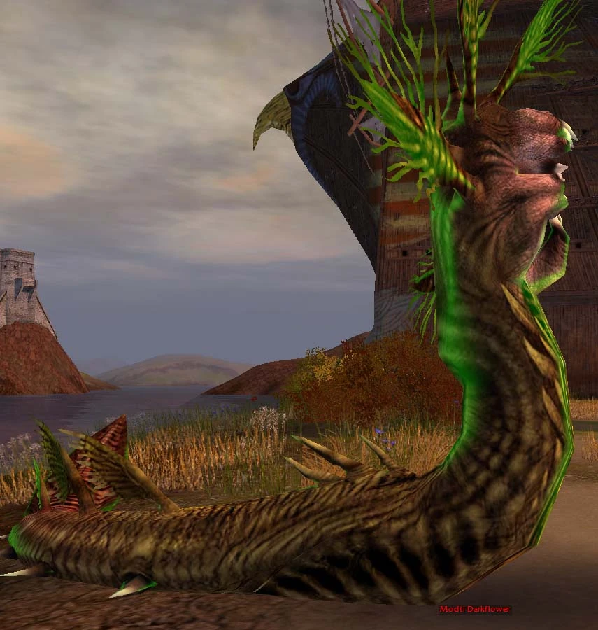 Modti Darkflower | GuildWars Wiki | Fandom