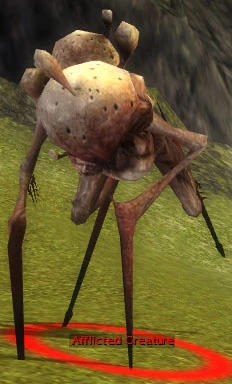 Afflicted Creature | GuildWars Wiki | Fandom