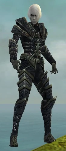 Necromancer Elite Cultist armor/Male | GuildWars Wiki | Fandom