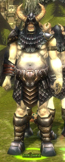 Elite Guard | GuildWars Wiki | Fandom