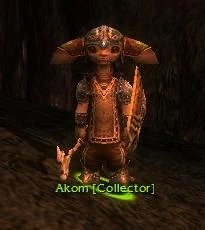 Akom | GuildWars Wiki | Fandom