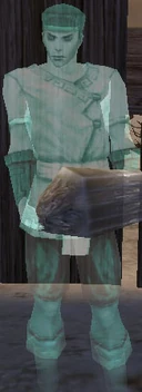 Ghostly Priest (Prophecies) | GuildWars Wiki | Fandom