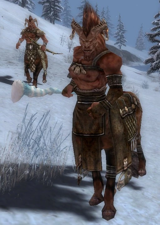 Modniir Priest | GuildWars Wiki | Fandom