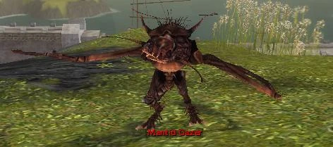 Mantid Gazer | GuildWars Wiki | Fandom