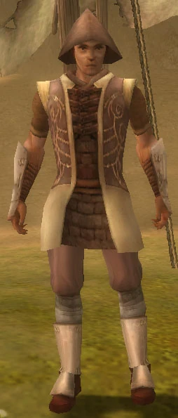 Vegard | GuildWars Wiki | Fandom