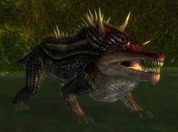 Nund | GuildWars Wiki | Fandom