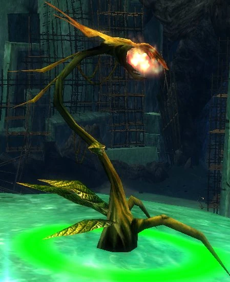 Fire Flower | GuildWars Wiki | Fandom