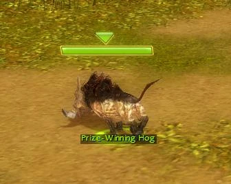 The Prize-Winning Hogs | GuildWars Wiki | Fandom