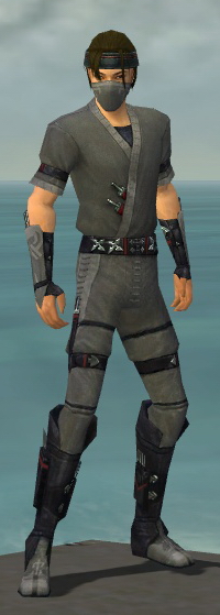 Assassin Shing Jea Armormale Guildwars Wiki Fandom