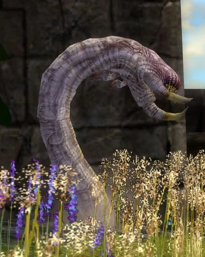 Drake Hatchling (white) | GuildWars Wiki | Fandom