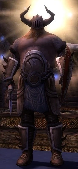 Johan Winterbird | GuildWars Wiki | Fandom