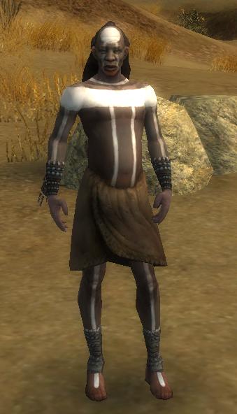 Wandering Priest Guildwars Wiki Fandom