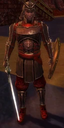 Footman | GuildWars Wiki | Fandom