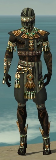 Ritualist Elite Luxon Armormale Guildwars Wiki Fandom