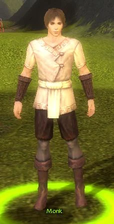 Monk (NPC) | GuildWars Wiki | Fandom
