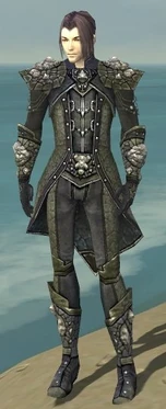 Elementalist Elite Stoneforged armor/Male | GuildWars Wiki | Fandom