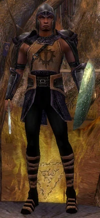 Blade Scout Braden | GuildWars Wiki | Fandom