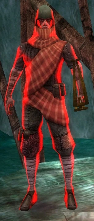 Luxon Elite Ranger | GuildWars Wiki | Fandom