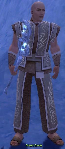 Priest Erwin | GuildWars Wiki | Fandom