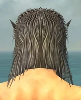 Lupine Mask | GuildWars Wiki | Fandom