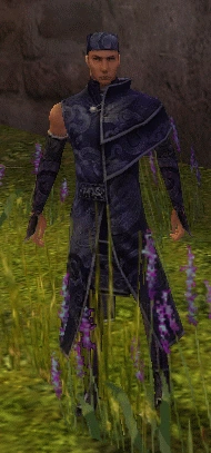 Chen Po Chin | GuildWars Wiki | Fandom