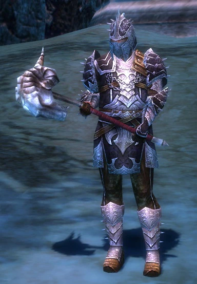 Vanguard Warrior | GuildWars Wiki | Fandom