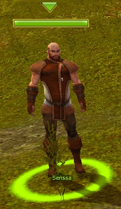 Senssa | GuildWars Wiki | Fandom