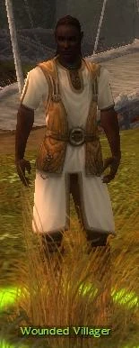 Wounded Villager (hex) | GuildWars Wiki | Fandom