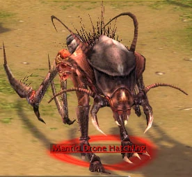 Mantid Drone Hatchling | GuildWars Wiki | Fandom