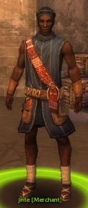Jinte | GuildWars Wiki | Fandom